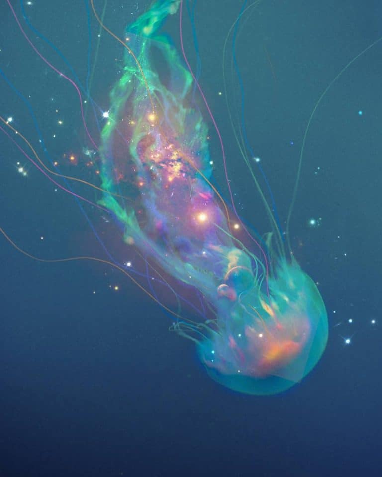 Galactic Themes of INDIGO’s Interstellar Imagery - Visual Atelier 8