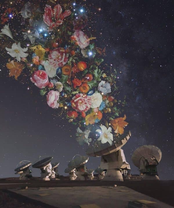 Galactic Themes of INDIGO’s Interstellar Imagery - Visual Atelier 8