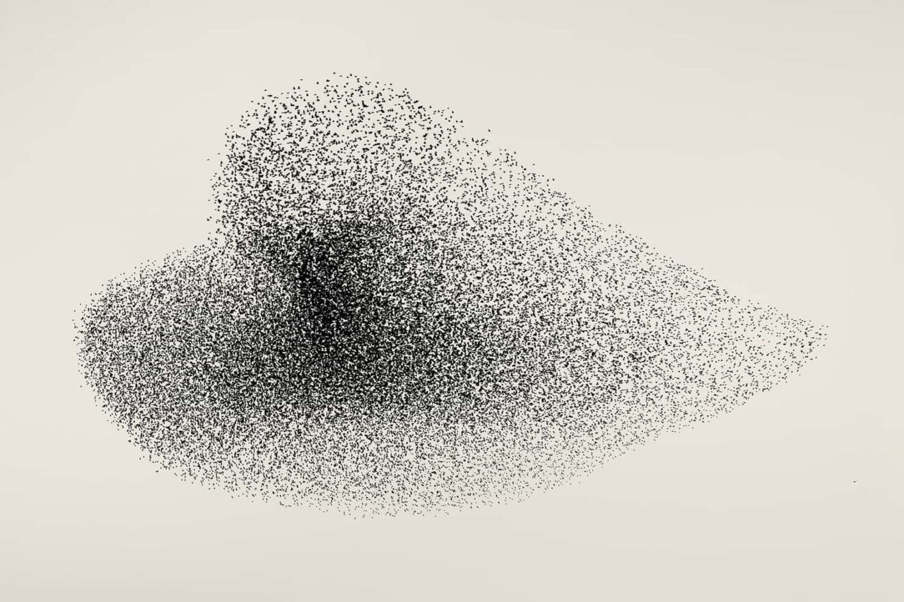 Black Sun Created By Soren Solkaer Inking Starling Murmurations In ...