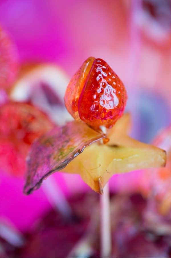 Timeless beauty and personal treasures, the magical sugar art of Maayan ...