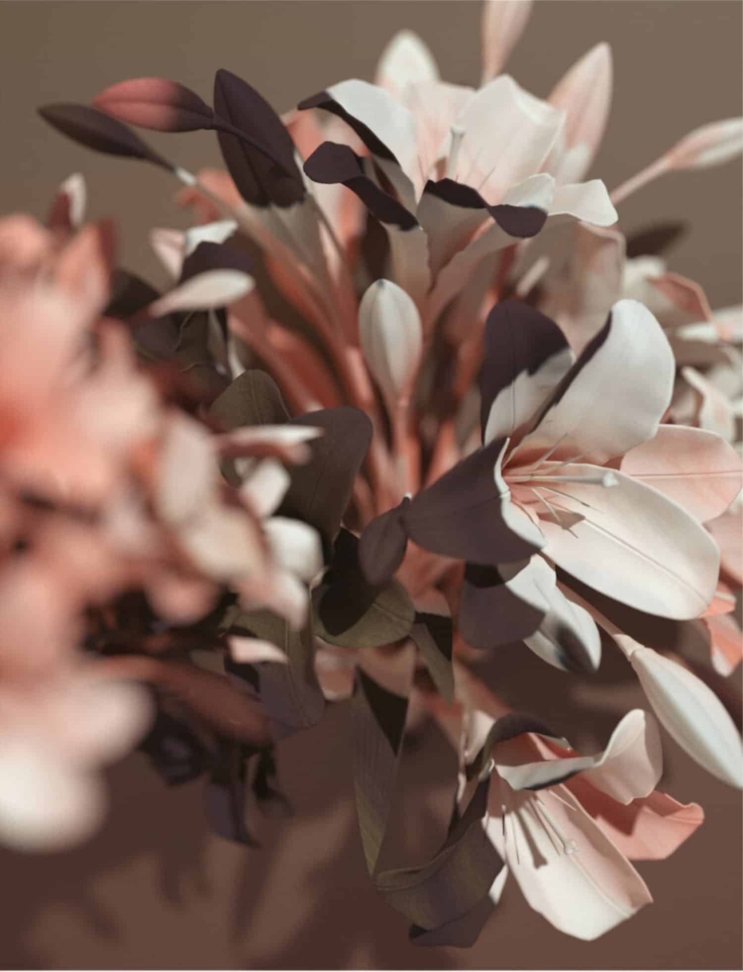 The Creatives At Studio Brasch Tap Into A Magnificent Reality | Visual ...