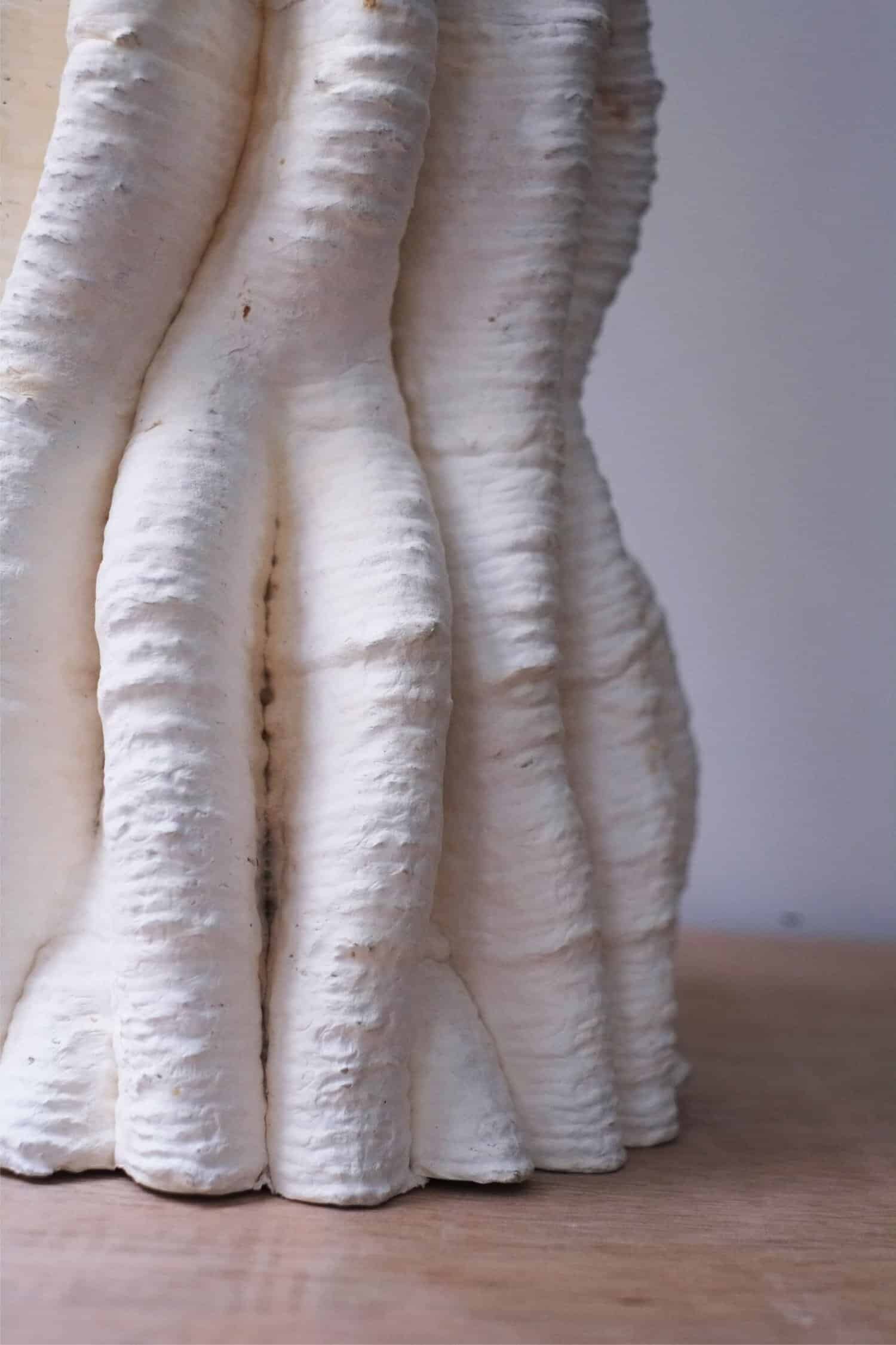 Blast Studio Designs Striking Objects From Nature | Visual Atelier 8