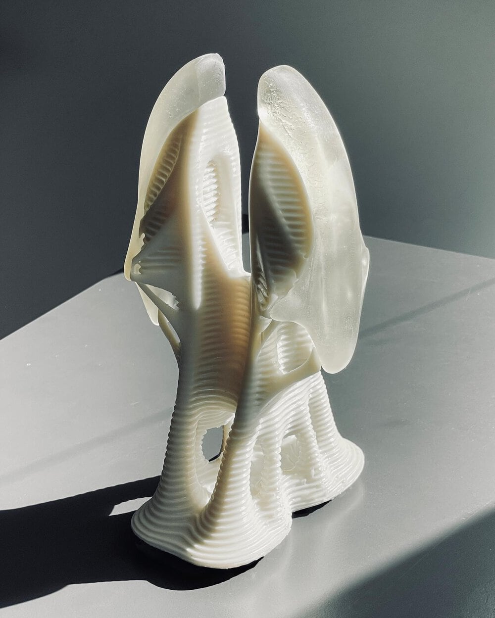 Andreas Palfinger Interview on Parametric Design