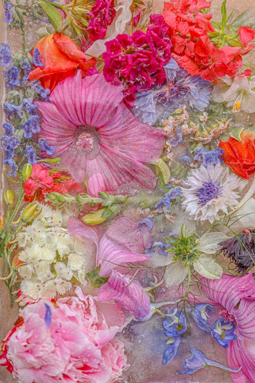 An interview with Joe Horner on his captivating floral artistry ...