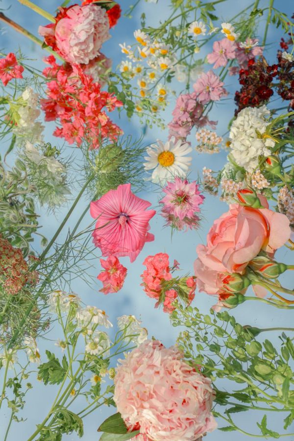 An interview with Joe Horner on his captivating floral artistry ...