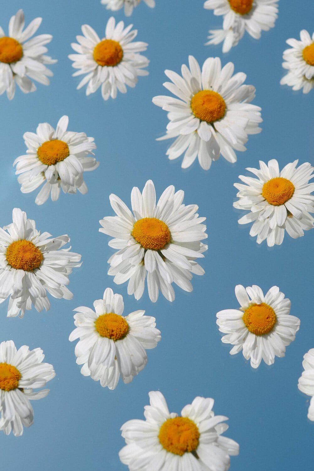 An interview with Joe Horner on his captivating floral artistry ...