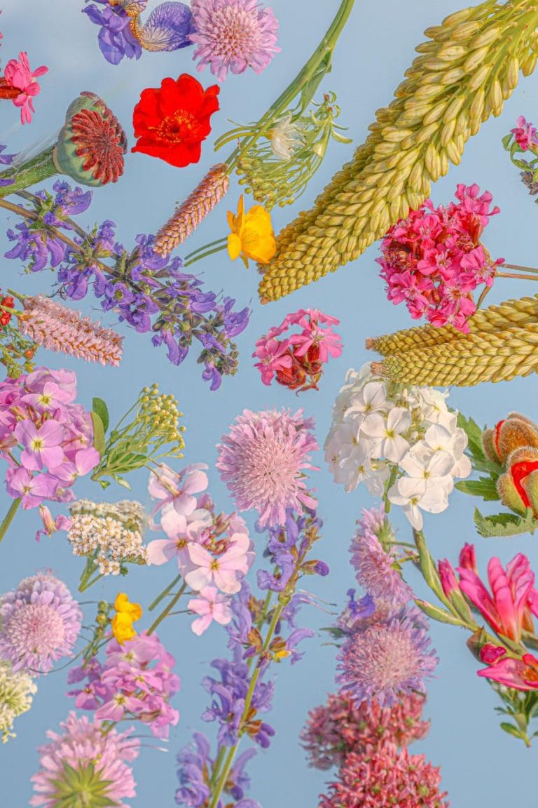 An interview with Joe Horner on his captivating floral artistry ...