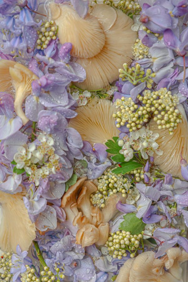 An interview with Joe Horner on his captivating floral artistry ...