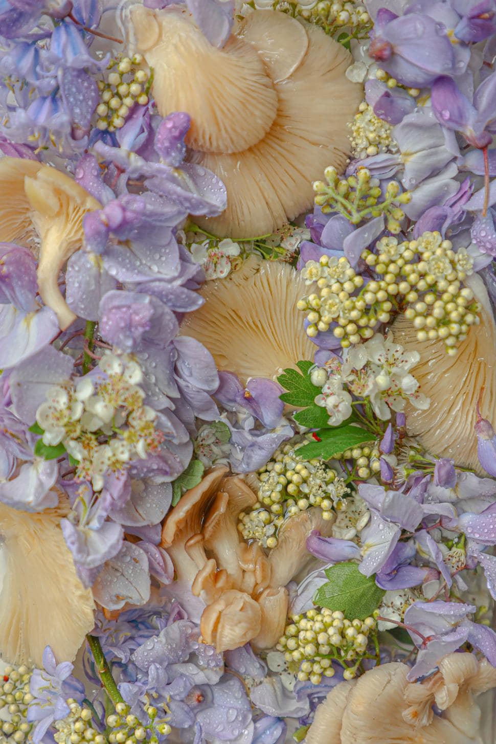 An interview with Joe Horner on his captivating floral artistry ...