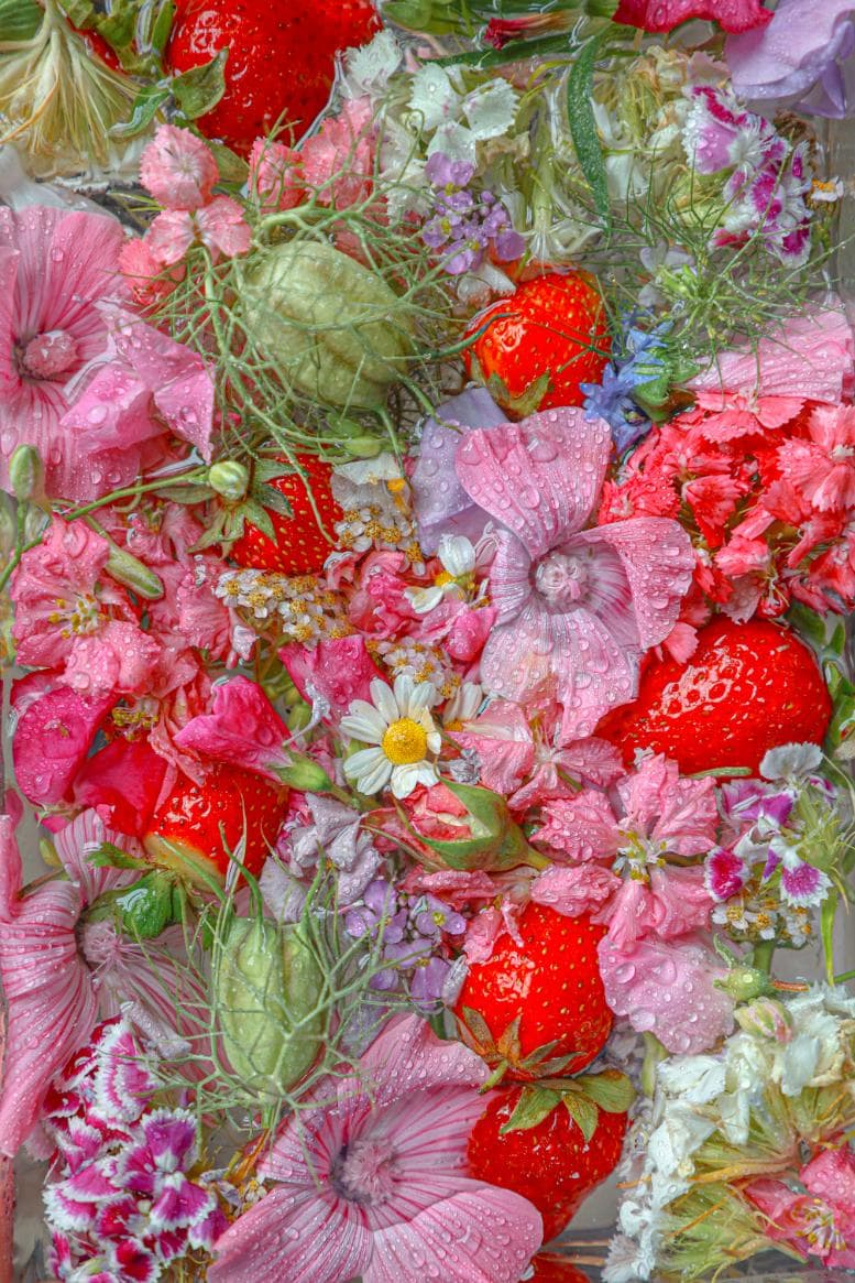 An interview with Joe Horner on his captivating floral artistry ...