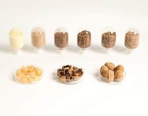 NOS by Sooa Choi: Innovative Sustainable Tableware Utilizing Walnut ...