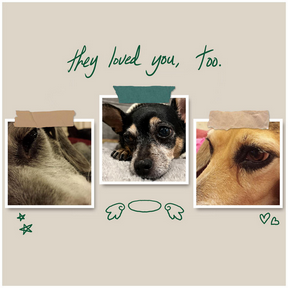 YI: "they loved you, too." - Visual Atelier 8