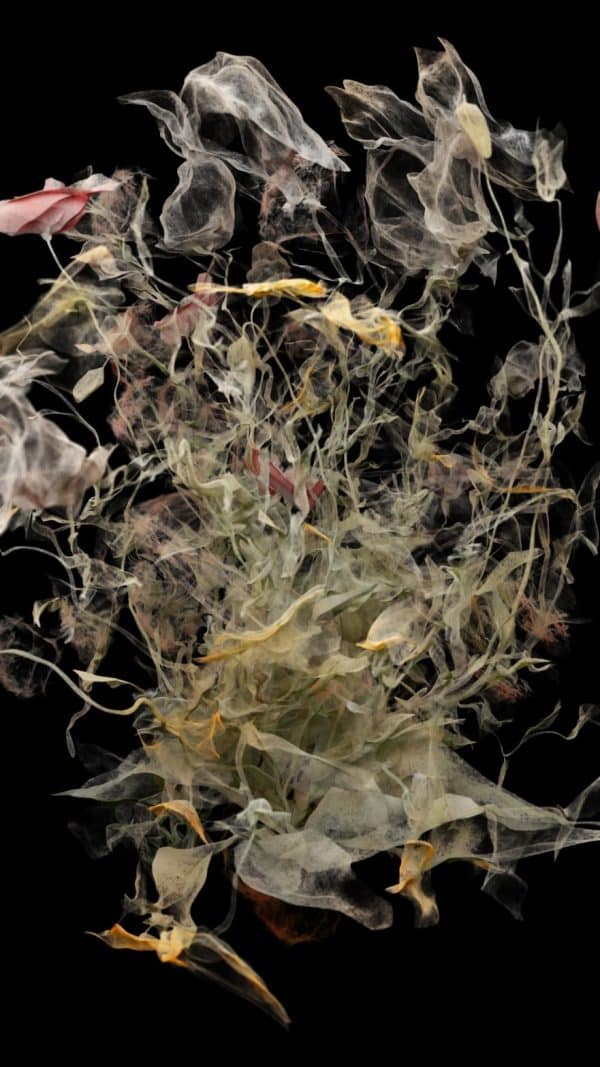 How Claude Reimagines Nature Through Digital Art in Mesmerizing ...