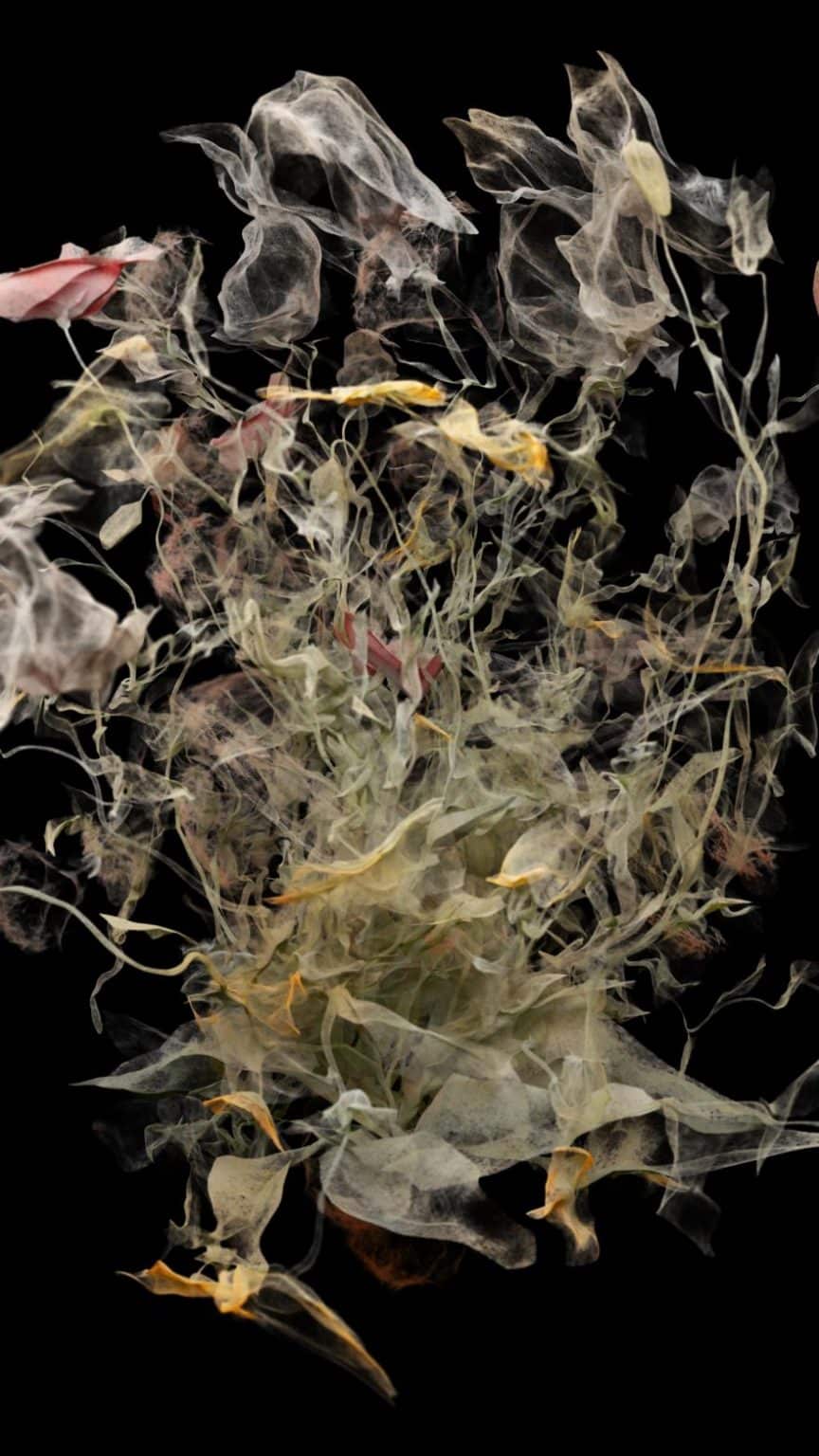 How Claude Reimagines Nature Through Digital Art in Mesmerizing ...