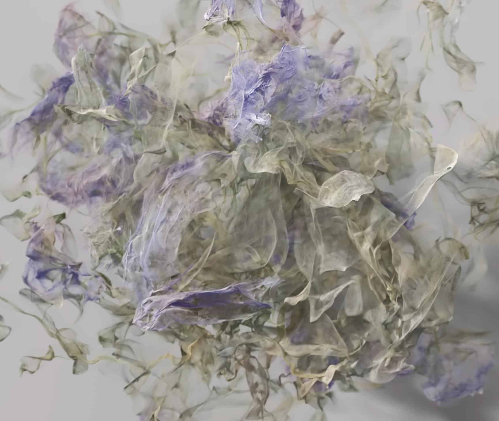 How Claude Reimagines Nature Through Digital Art in Mesmerizing ...