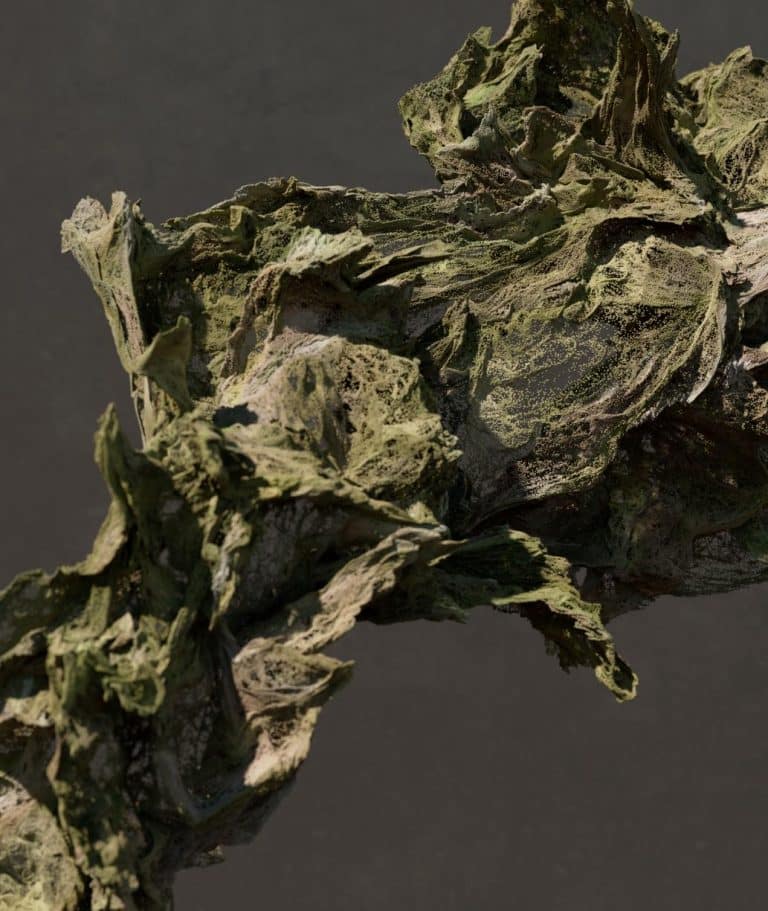 How Claude Reimagines Nature Through Digital Art in Mesmerizing ...