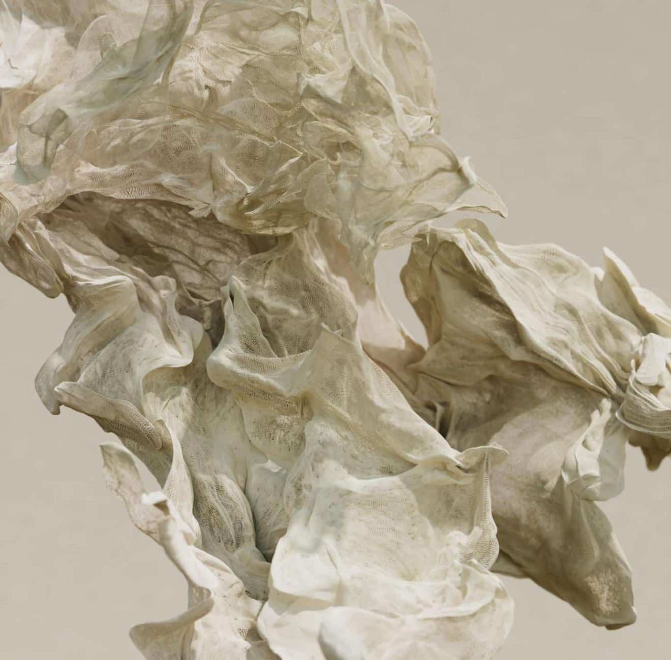 How Claude Reimagines Nature Through Digital Art in Mesmerizing ...