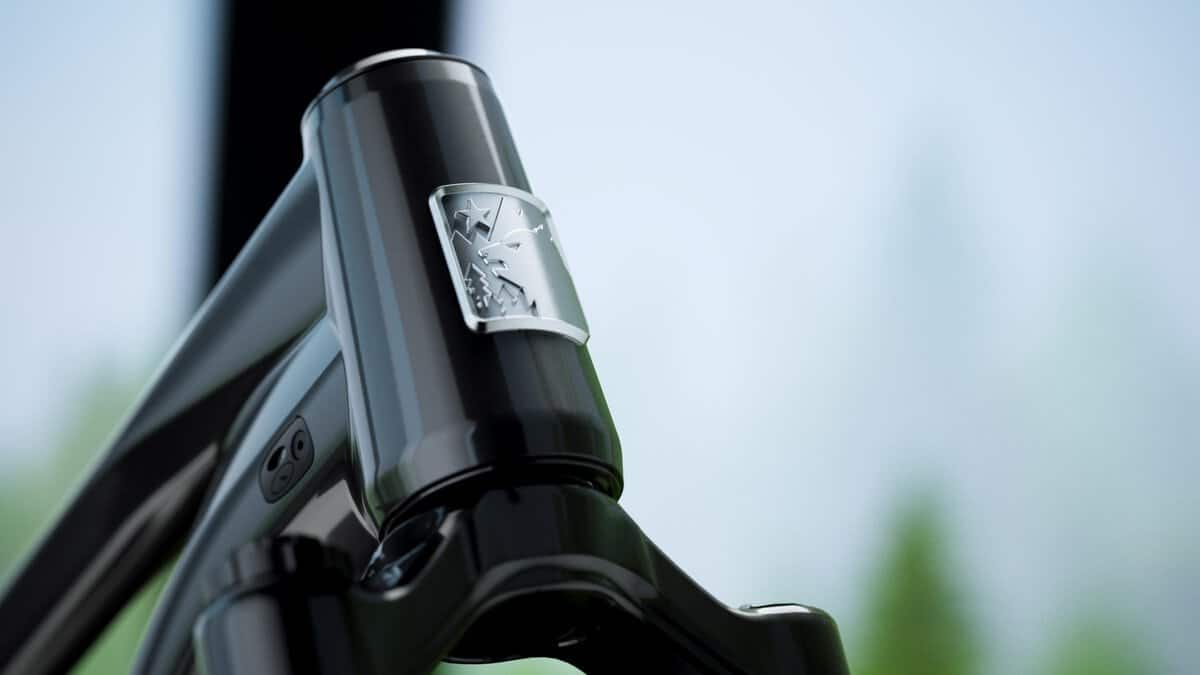 Inertia Studios capturing the thrill of revolutionary Marin Bikes Alpine Trail - Visual Atelier 8