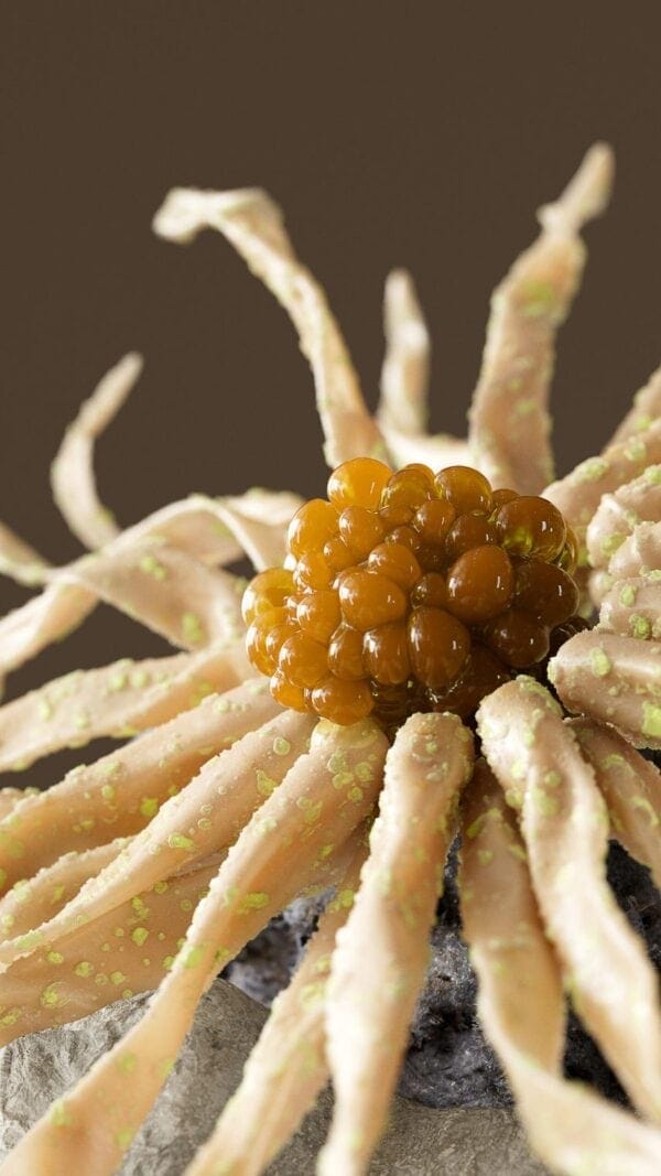 Get It Studio work blending technical mastery with artistic innovation ...