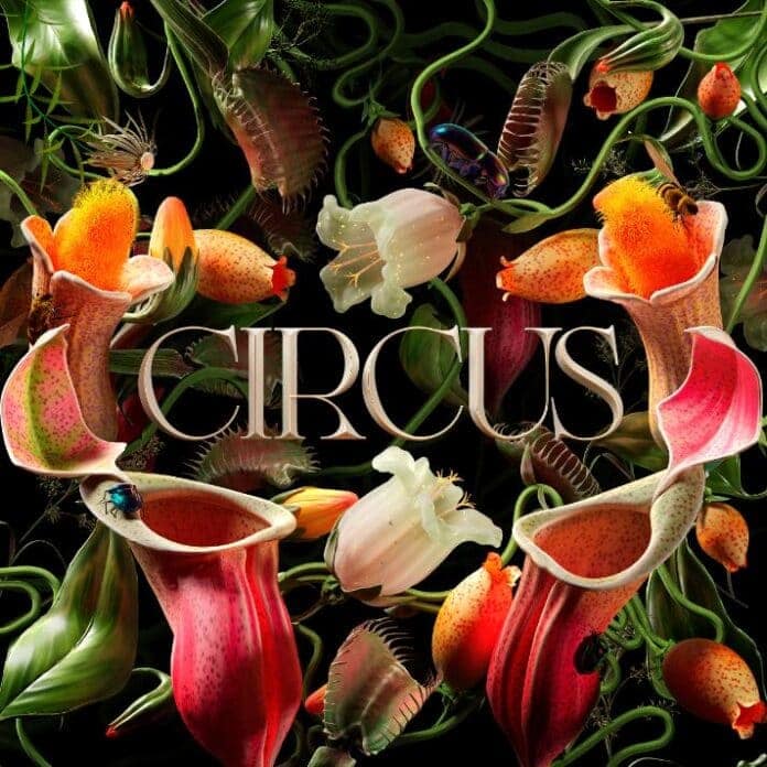 TAVO Studio crafts a dreamlike and luxurious identity for Circus Madrid ...