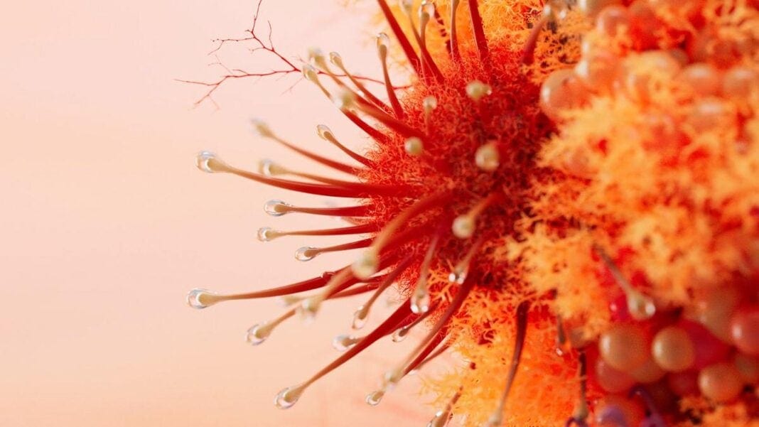 TAVO Studio crafts a dreamlike and luxurious identity for Circus Madrid ...