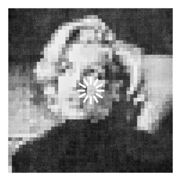 The pixelated vision of MAESTRO: Redefining minimalism in the digital ...