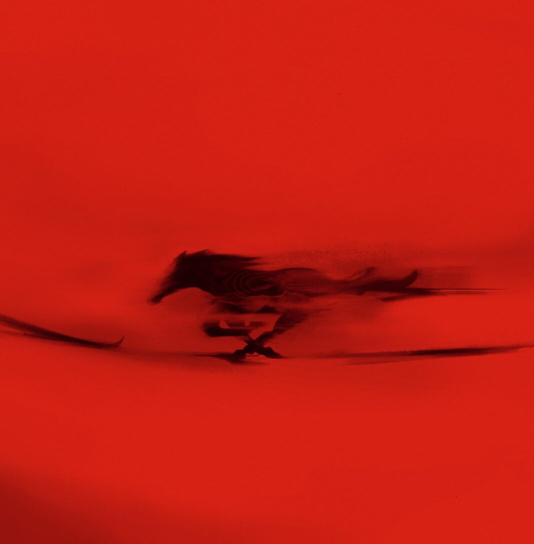 Alexis Marcou reimagines the Shelby Mustang in the Dark Horse Project ...