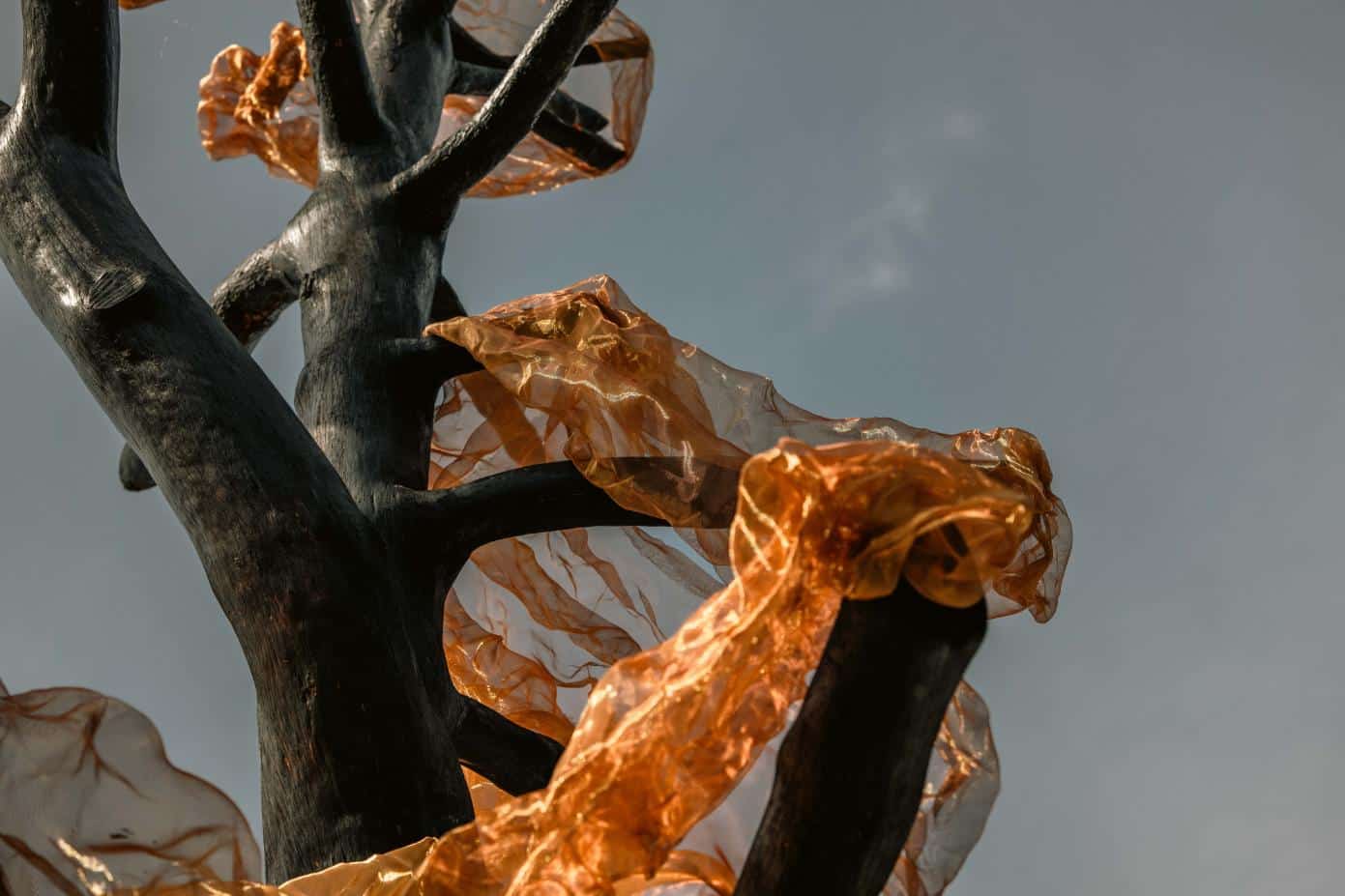 Thanos Zakopoulos reveals evocative pine installation at Ekies All ...