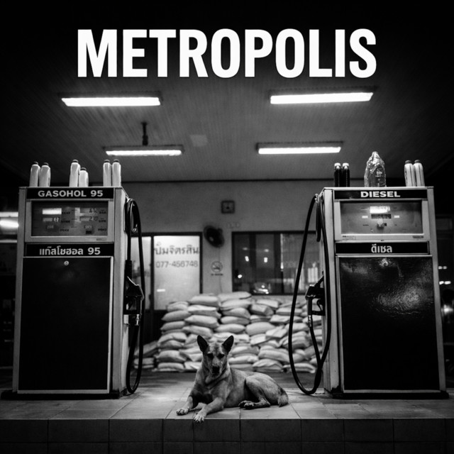 Introducing: Nightkites | Visual Atelier 8